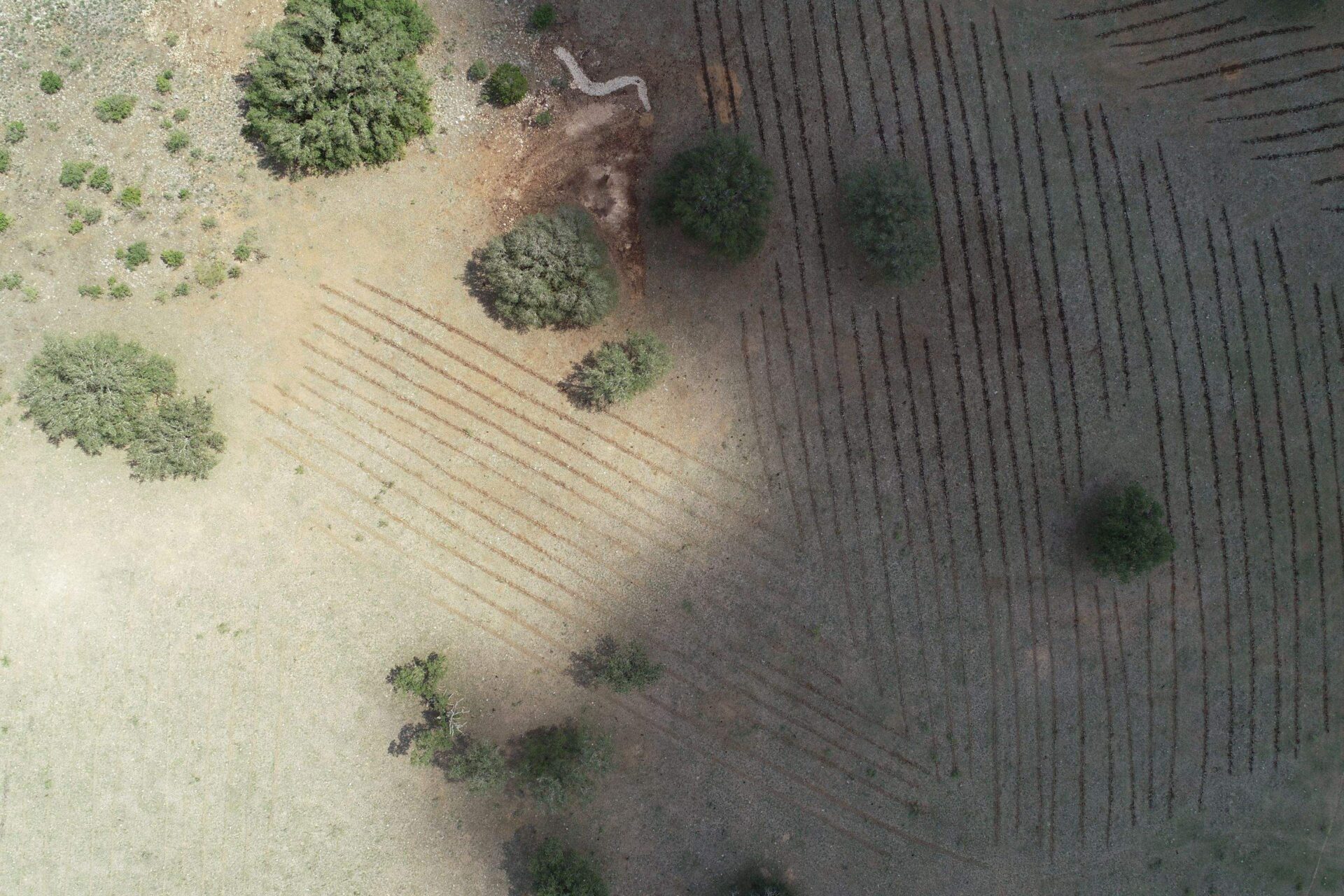 Keyline/ Yeomans Plow - Symbiosis LLC