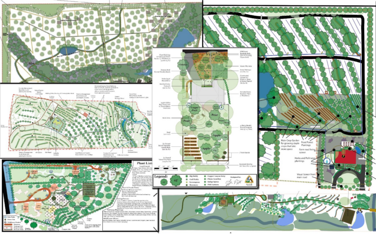 Creating a Dream Permaculture Homestead in Central Texas - Symbiosis LLC