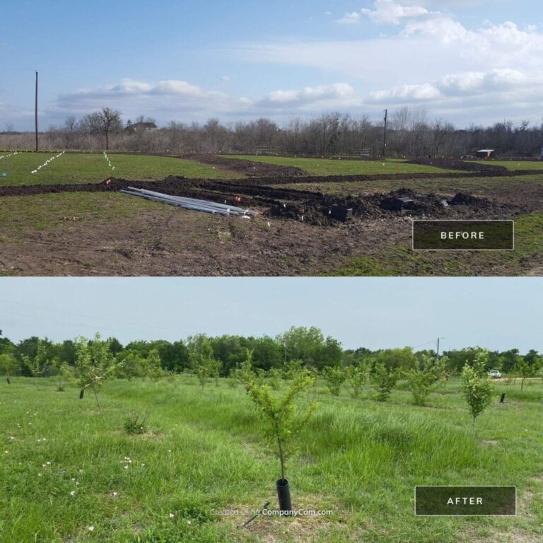 Land Regeneration Solutions for Central Texas - Symbiosis LLC